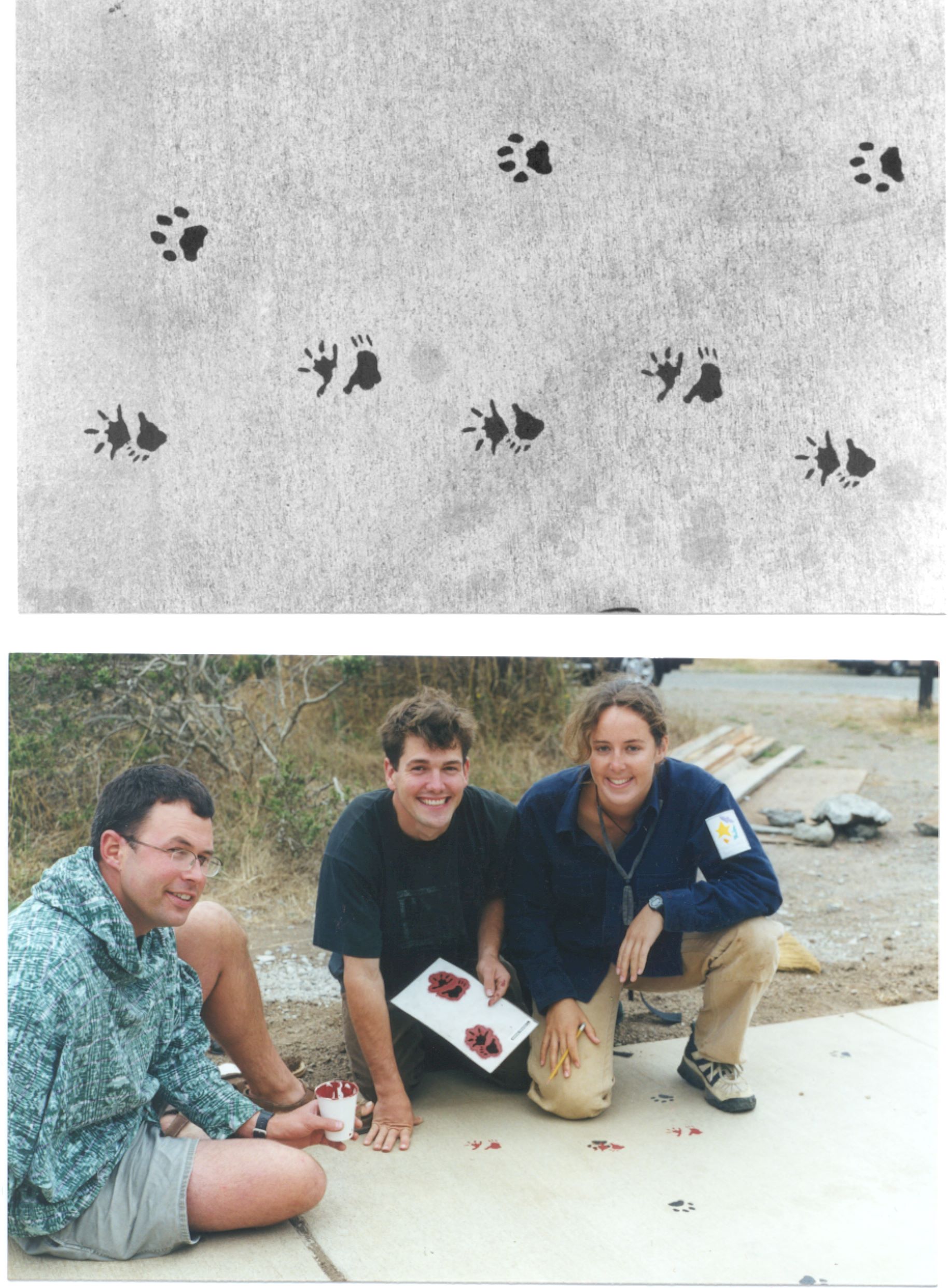 About – My Wild Tracks